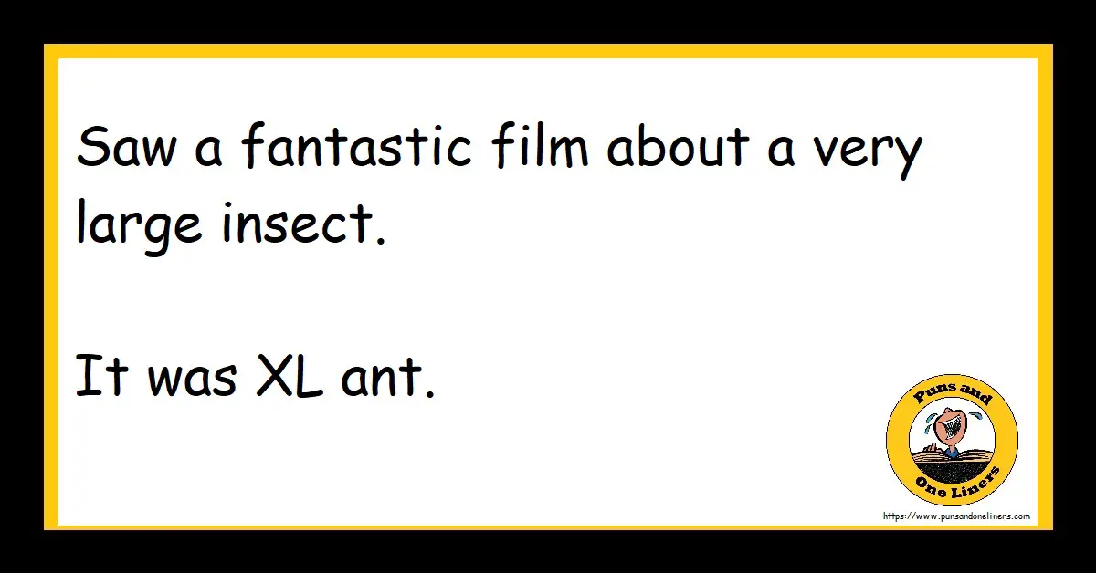 Insect Jokes - Puns And One Liners