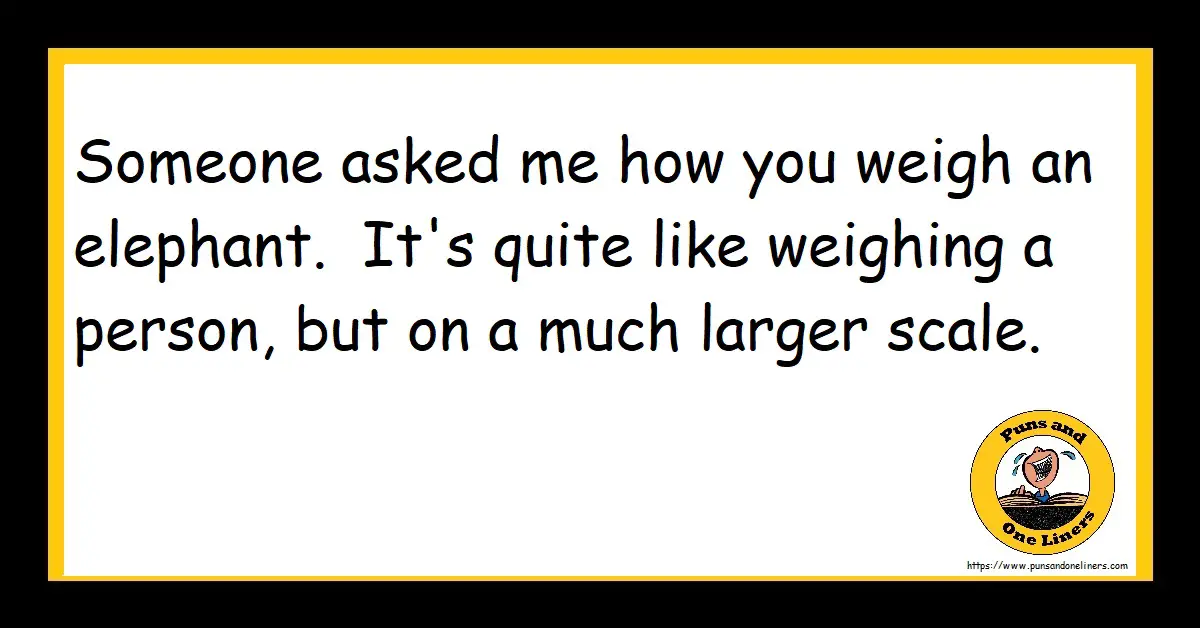 Scale Jokes - Puns And One Liners