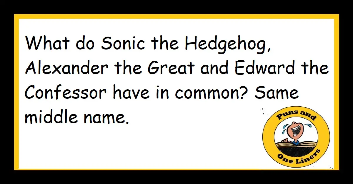Hedgehog Jokes - Puns And One Liners