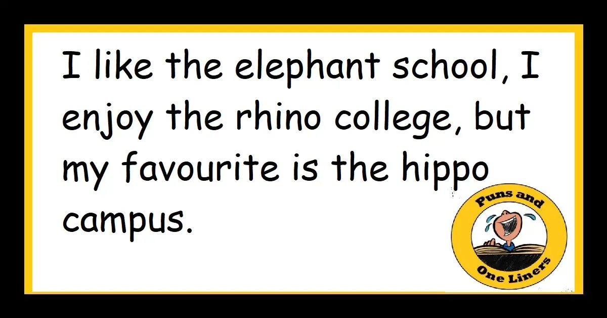 Hippo Jokes - Puns And One Liners