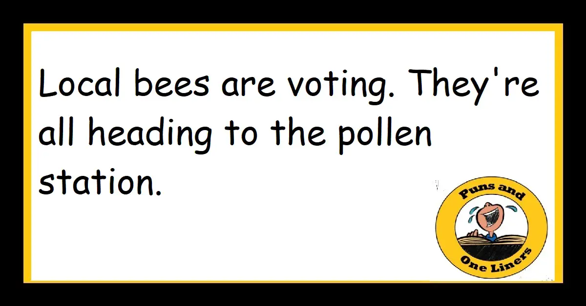 Election Jokes - Puns And One Liners