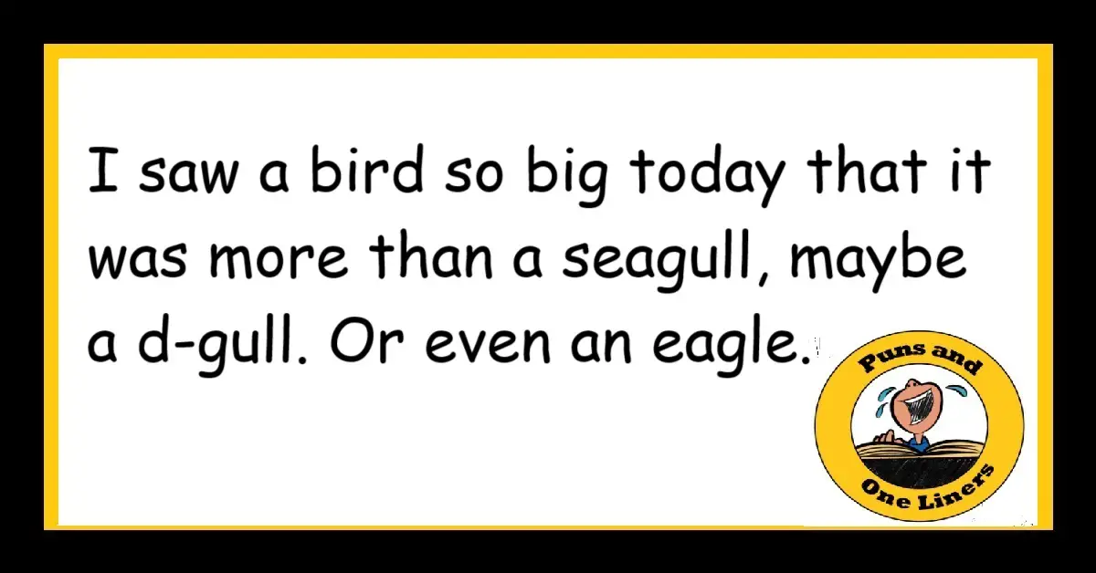 Seagull Jokes - Puns And One Liners
